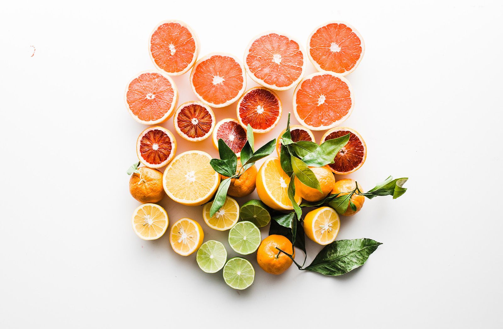 Fruit Boom - Colo Trees